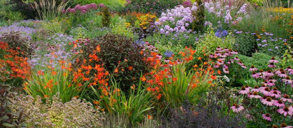 Wiosenna pielęgnacja rabat bylinowych w ogrodzie - murator.pl