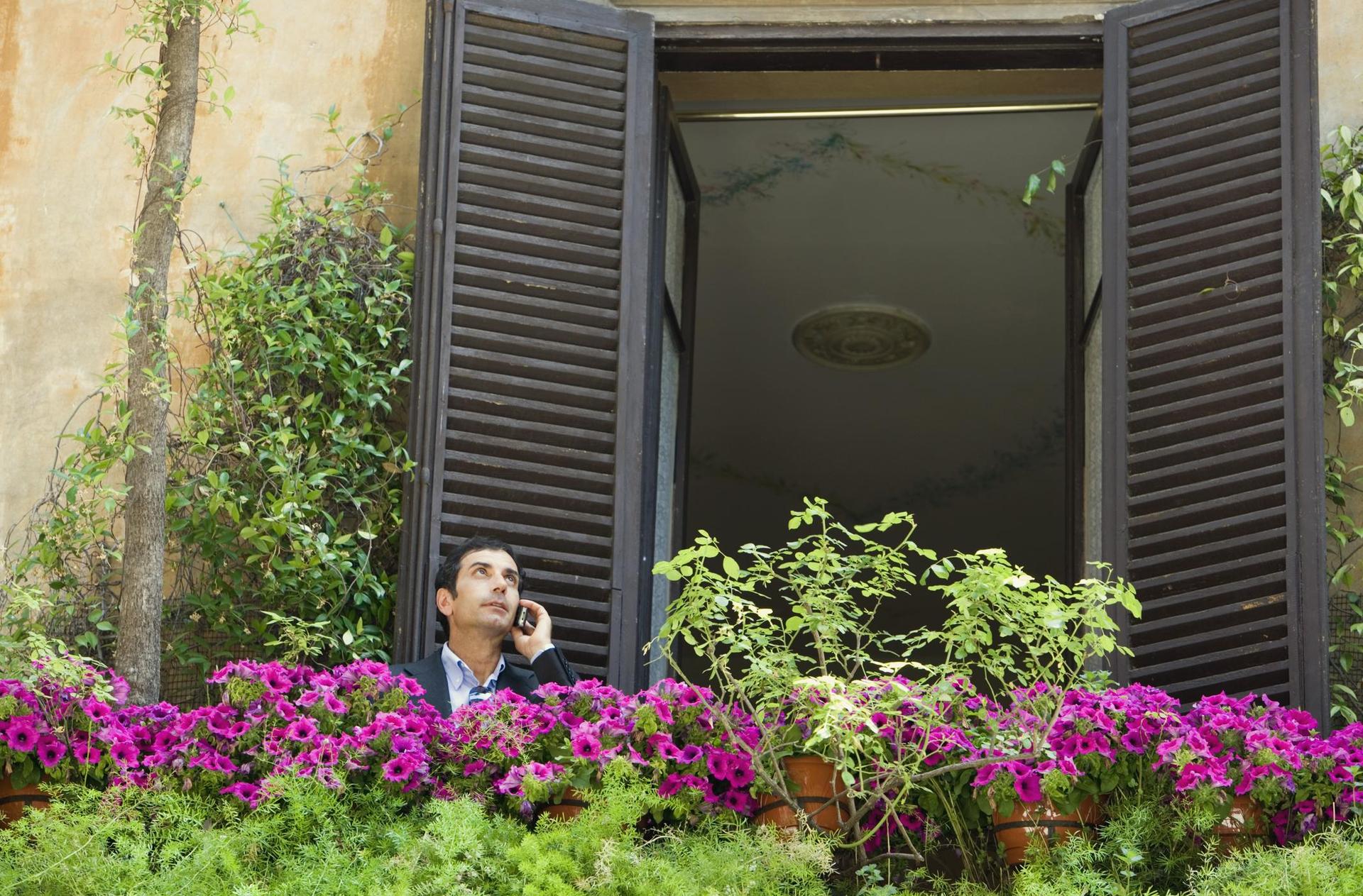 Jakie kwiaty na balkon? Co wybrać: pelargonie, surfinie, petunie, bratki? - Porady Plus