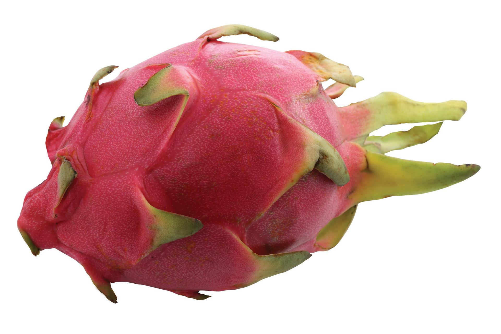 Pitaja (smoczy owoc) - PoradnikZdrowie.pl