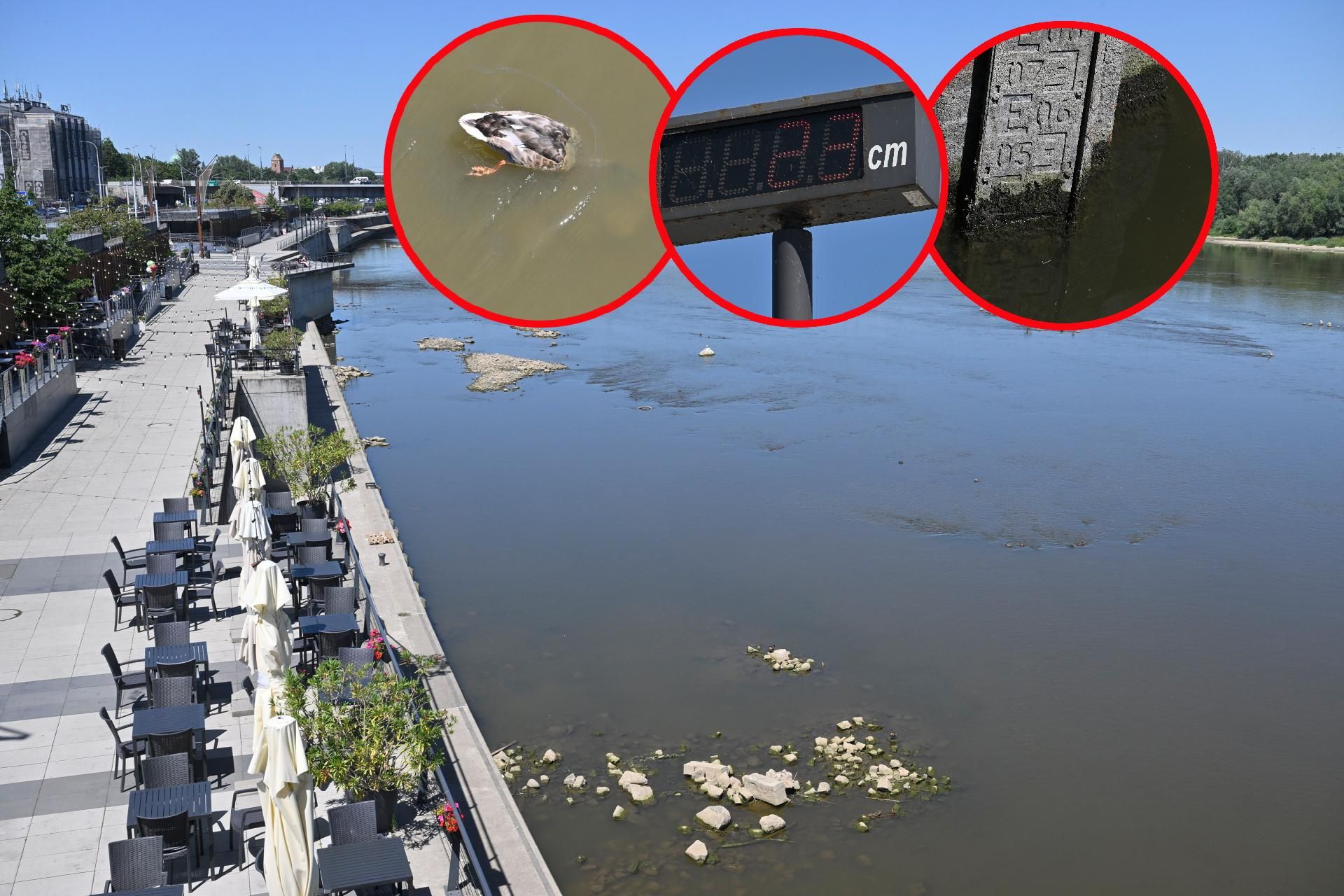 Wisła odsłania dno! Ekstremalnie niski poziom wody. Padnie kolejny ...