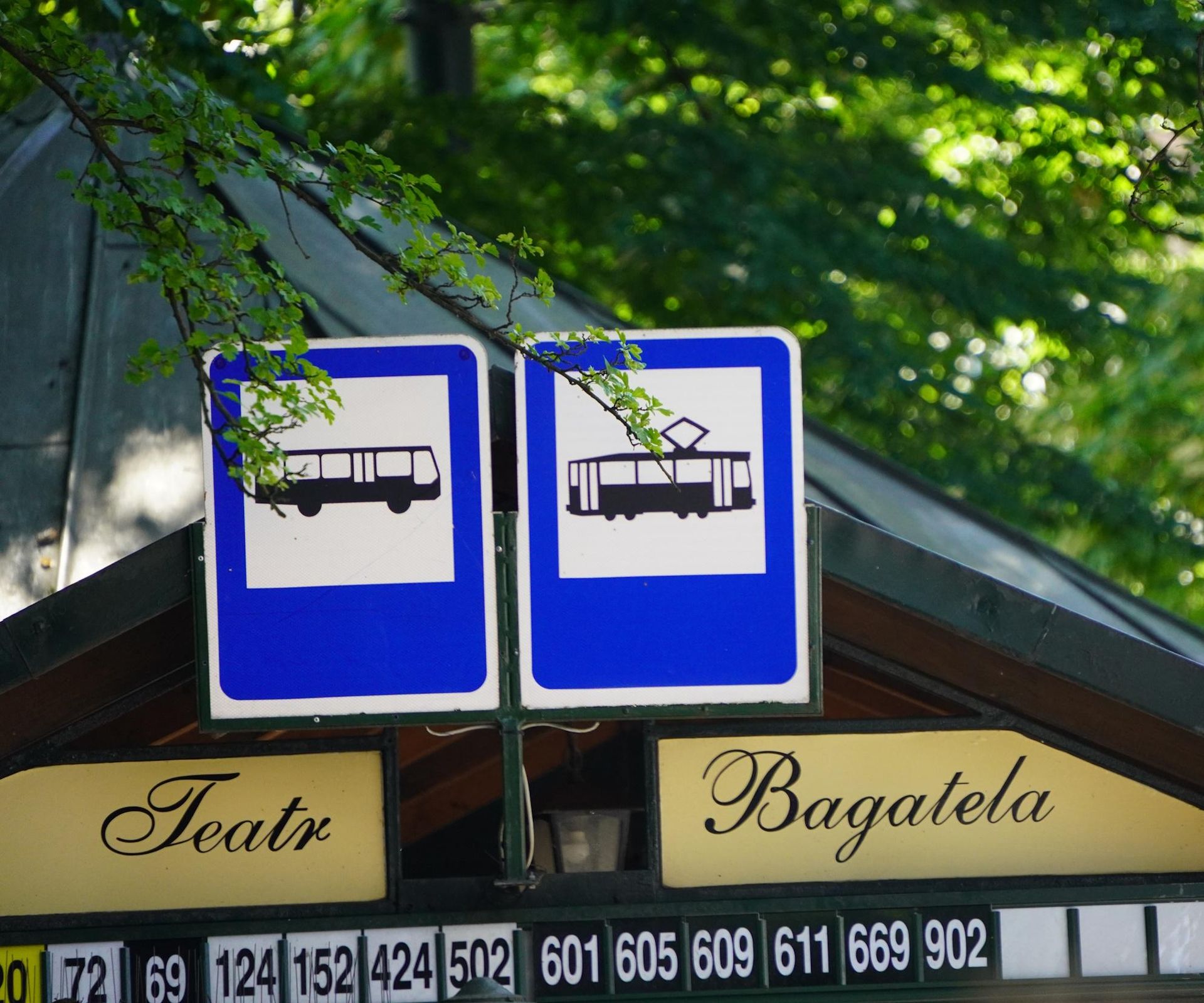 Kraków. Zmiany w komunikacji miejskiej po wakacjach. Nowe rozkłady dla autobusów i tramwajów ...