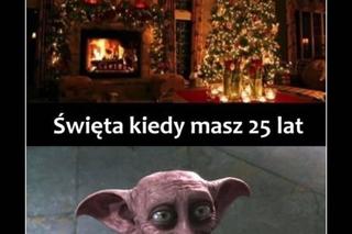 Memy świąteczne 2023 - zabawne obrazki, które rozbawią przy stole ...