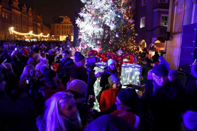 Choinka na Starym Rynku rozświetlona! W Poznaniu czuć zbliżające się ...