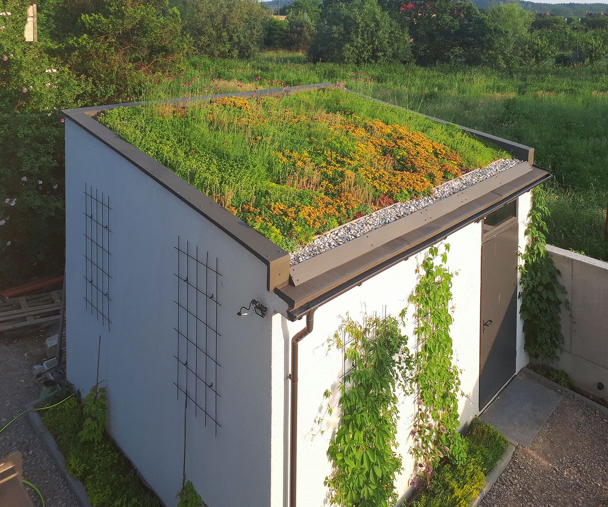 Ogród na dachu - jak go zrobić? Rodzaje ogrodów, zasady projektowania ...