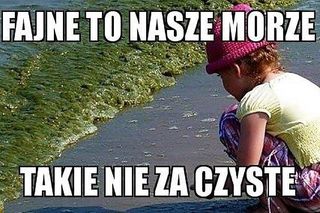 Najlepsze memy o wakacjach nad polskim morzem. Parawaning, gofry i ...
