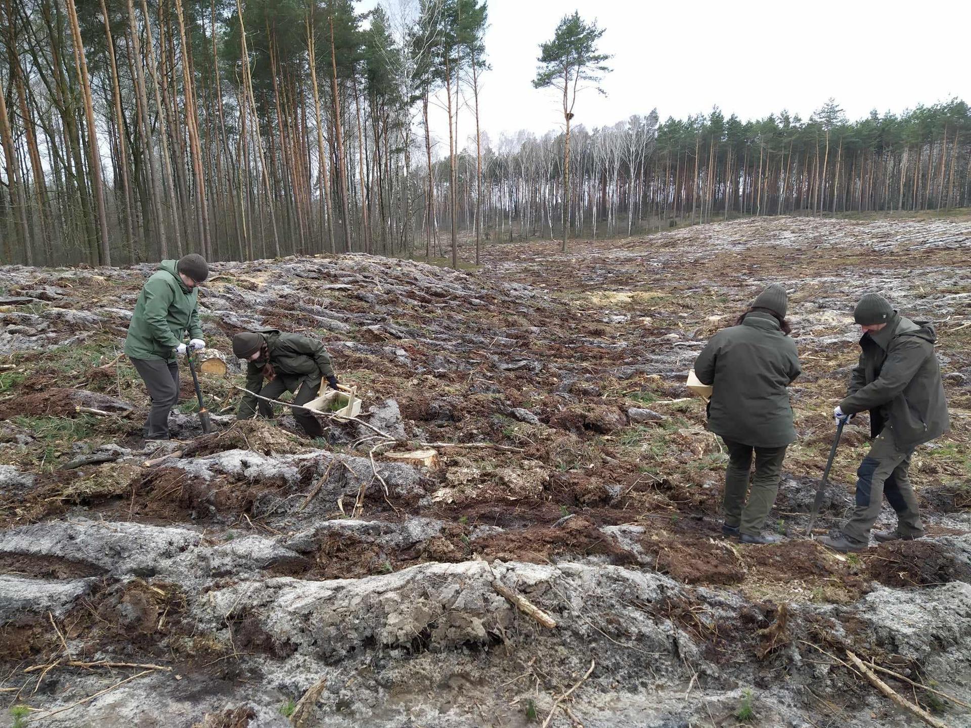 Posadź i posprzątaj las w gminie Repki w ramach Operacji Czysta Rzeka ...