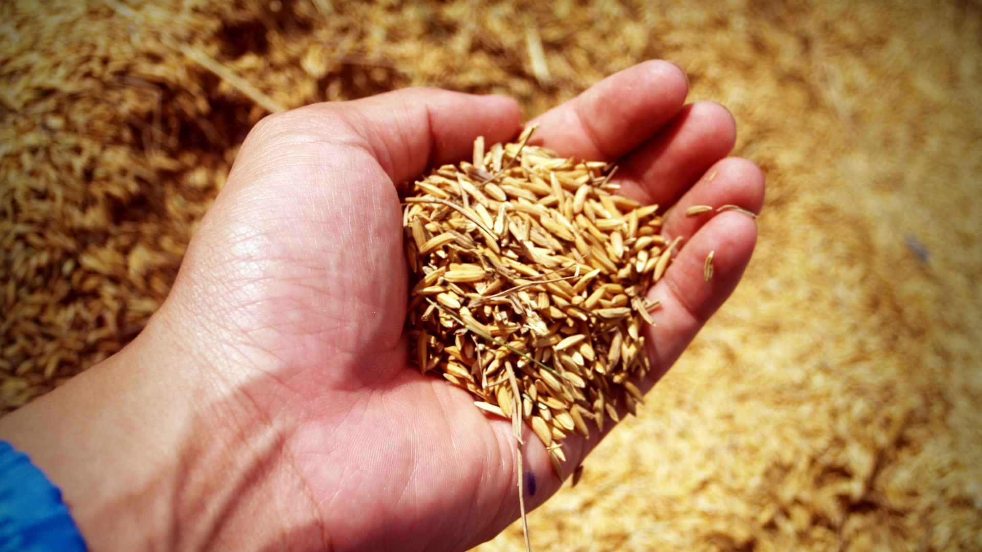 Z ukraińskich portów wypłynęły kolejne statki ze zbożem - ESKA.pl