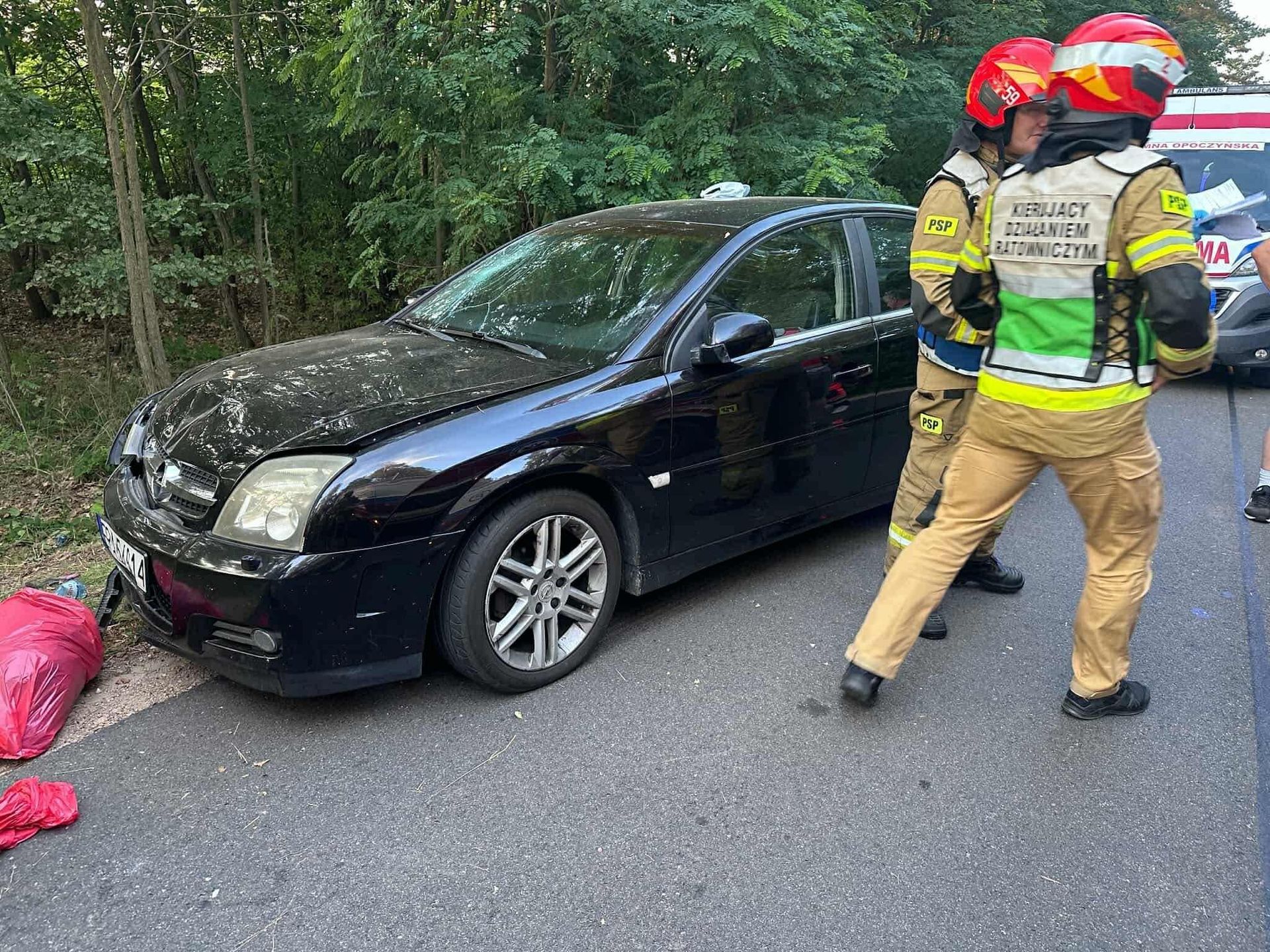 Pijany kierowca wjechał w pielgrzymów w Łódzkiem. Osiem osób rannych, w tym dziecko - Łódź ...