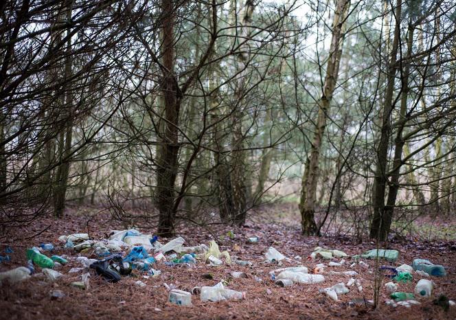 Trashtag challenge - na czym polega? W końcu wyzwanie, które ma sens ...