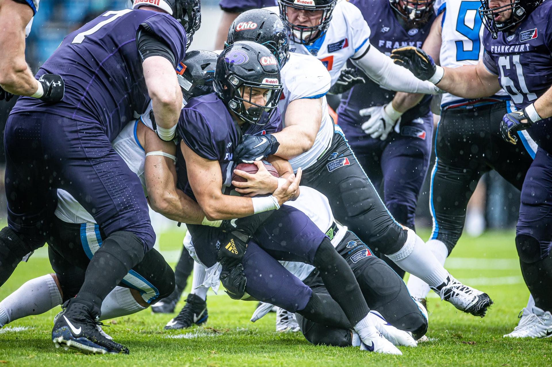Zawodnicy Panthers Wrocław nagrali piosenkę i klip! [WIDEO] - Wrocław ...