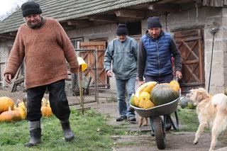Rolnicy. Podlasie. Gienek z Plutycz załamany wysokością własnej emerytury. Gorzkie słowa rolnika ...