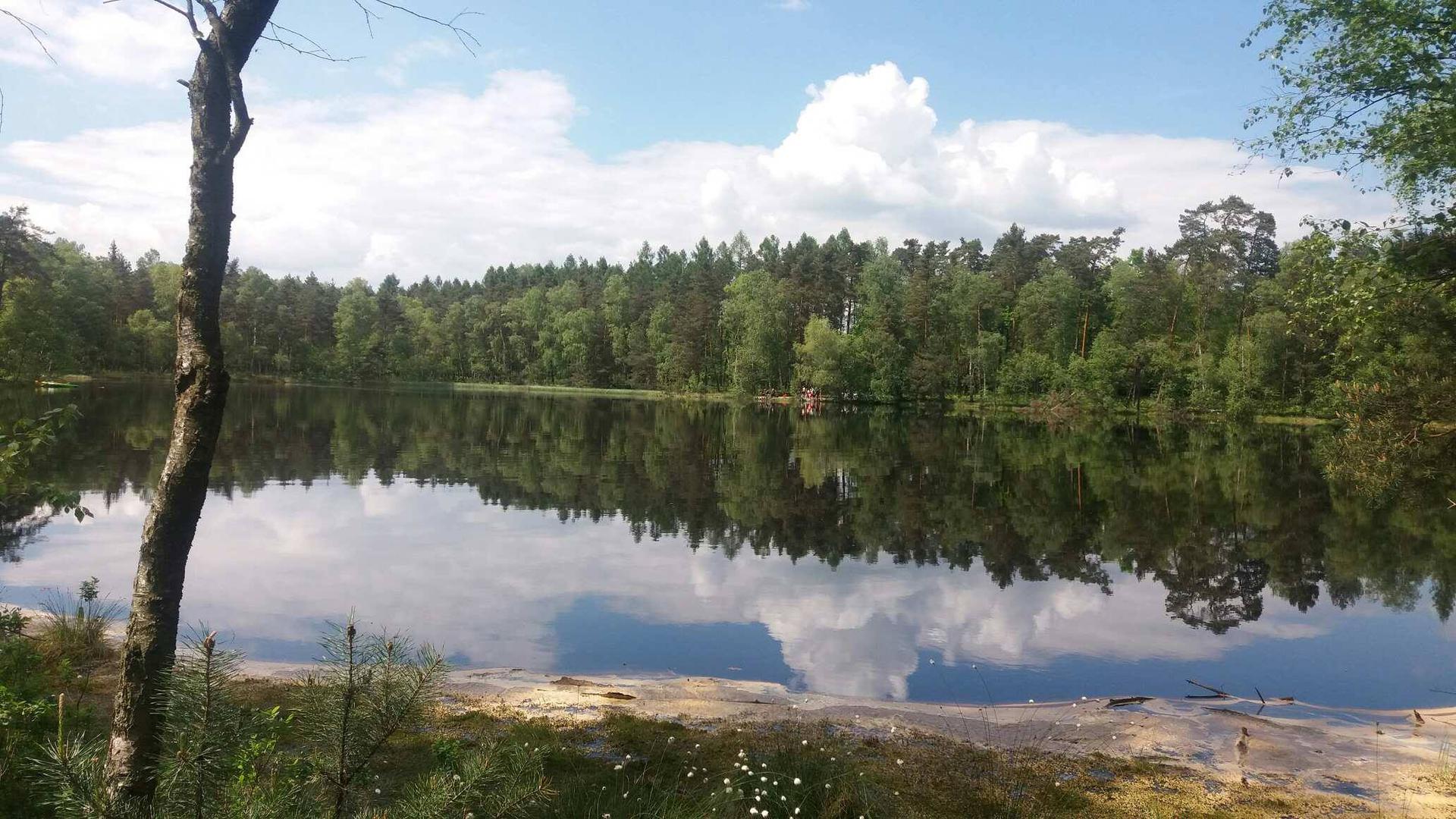 Odkryj mało znane miejsce Puszczy Niepołomickiej: Czarny Staw! - Kraków ...