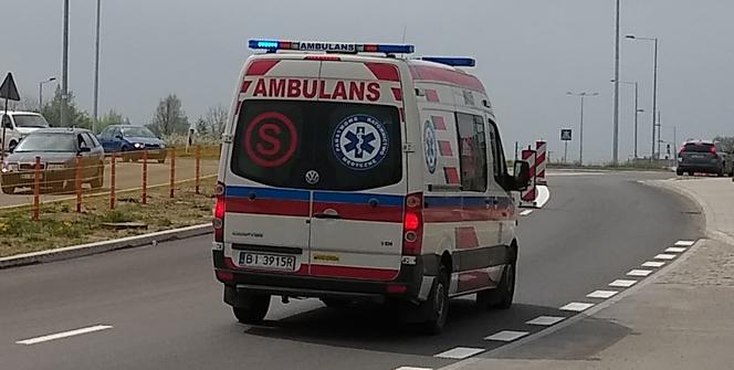 Białystok. Pies biegający po ulicy spowodował wypadek. Kobieta w ...