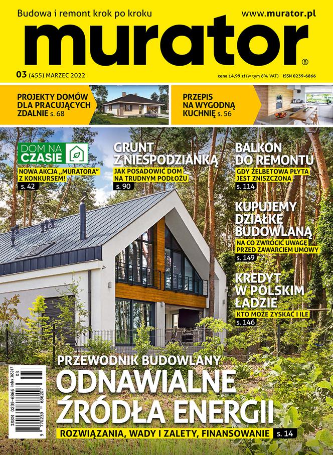 Pasternak i pietruszka – czym się różnią? - murator.pl