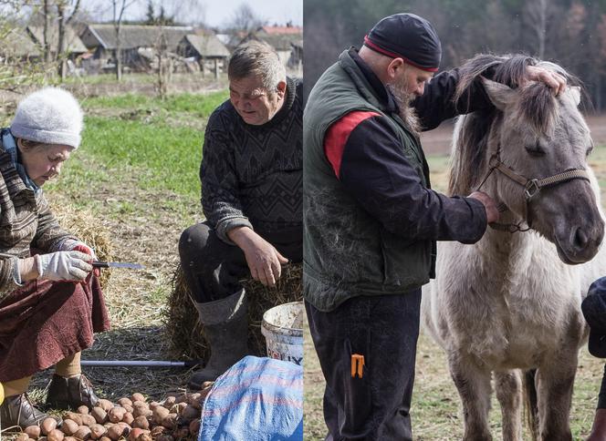 Kobieta w gospodarstwie Gienka z Plutycz. Nerwowo u Maćka z Kundzicz. Nowy odcinek "Rolnicy ...