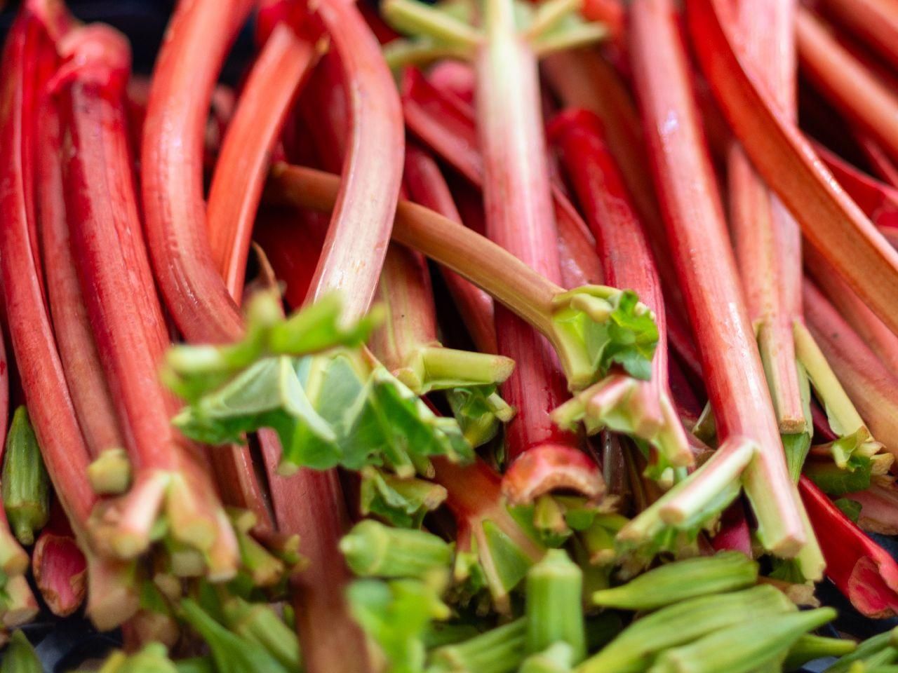 Rabarbar - 20 przepisów na rabarbar na słodko i nie tylko! - Beszamel.pl