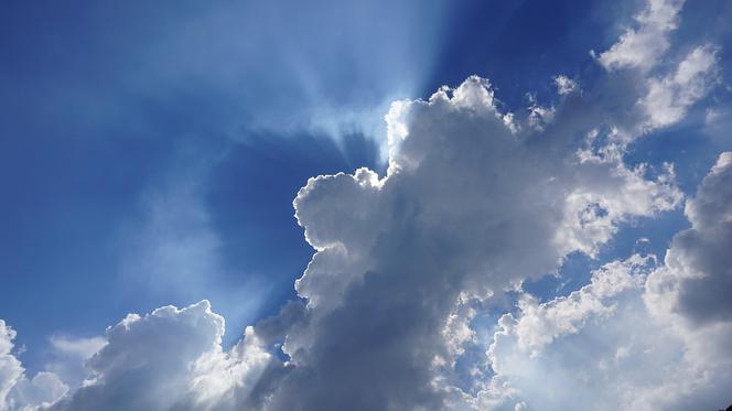 Ngentot bapak dan anak