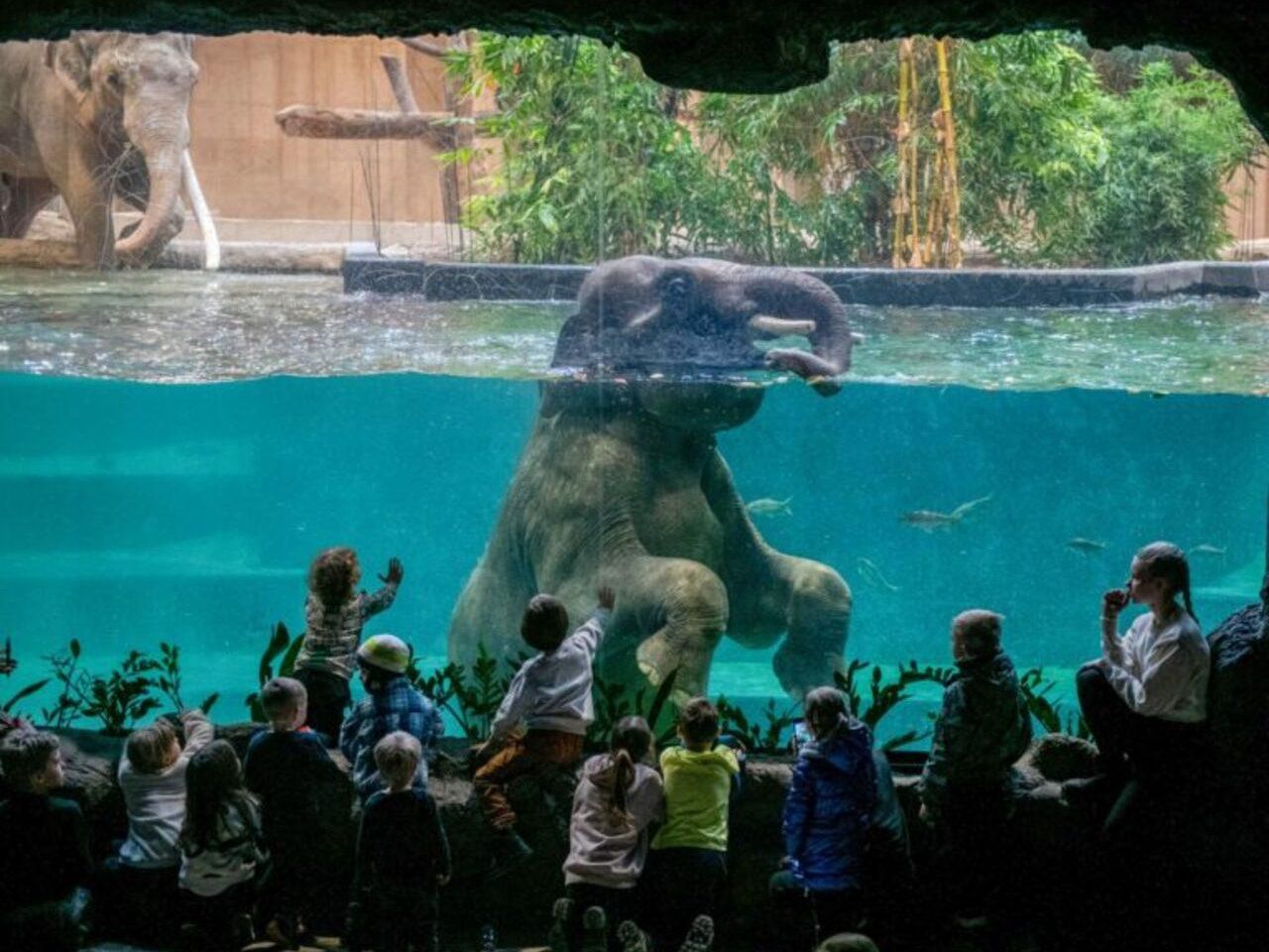 Orientarium ZOO Łódź. Nowe godziny otwarcia. Będzie czynne 2 godziny ...