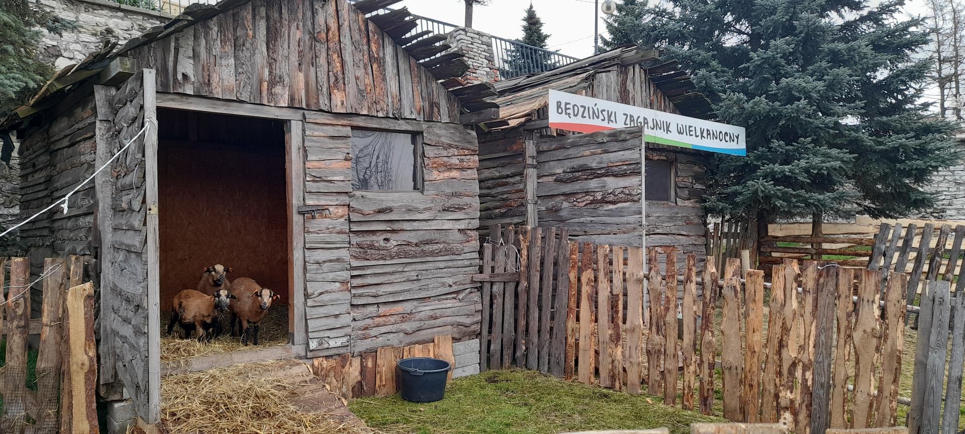 Będziński Zagajnik Wielkanocny już stoi. U podnóża Kościoła Św. Trójcy ...
