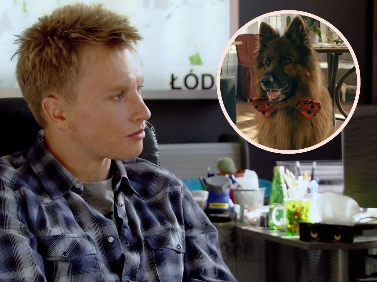 „Komisarz Alex” - quiz dla fanów serialu kryminalnego. Sprawdź, ile ...