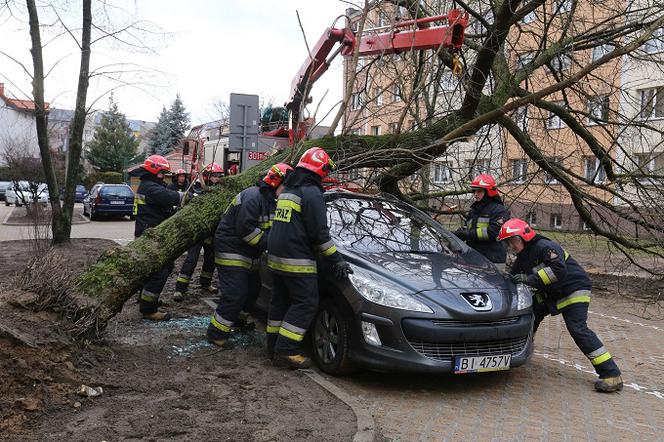 Orkan Marcin w Polsce - WOJEWÓDZTWA. Kiedy i gdzie najbardziej zawieje ...