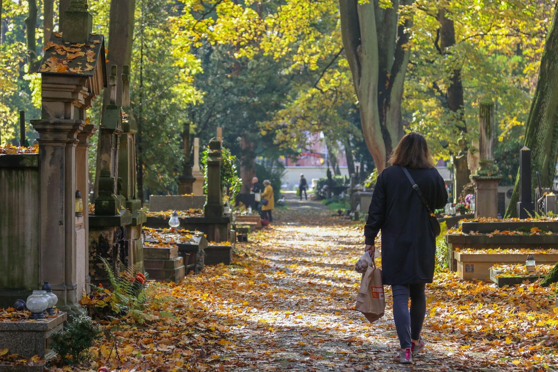 Wszystkich Świętych 2025. W jakich godzinach będą otwarte cmentarze w ...