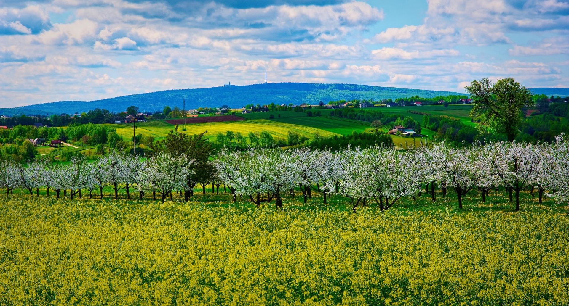 Tłumy turystów przyjeżdżają tu z całej Polski. Świętokrzyskie Niebo ...