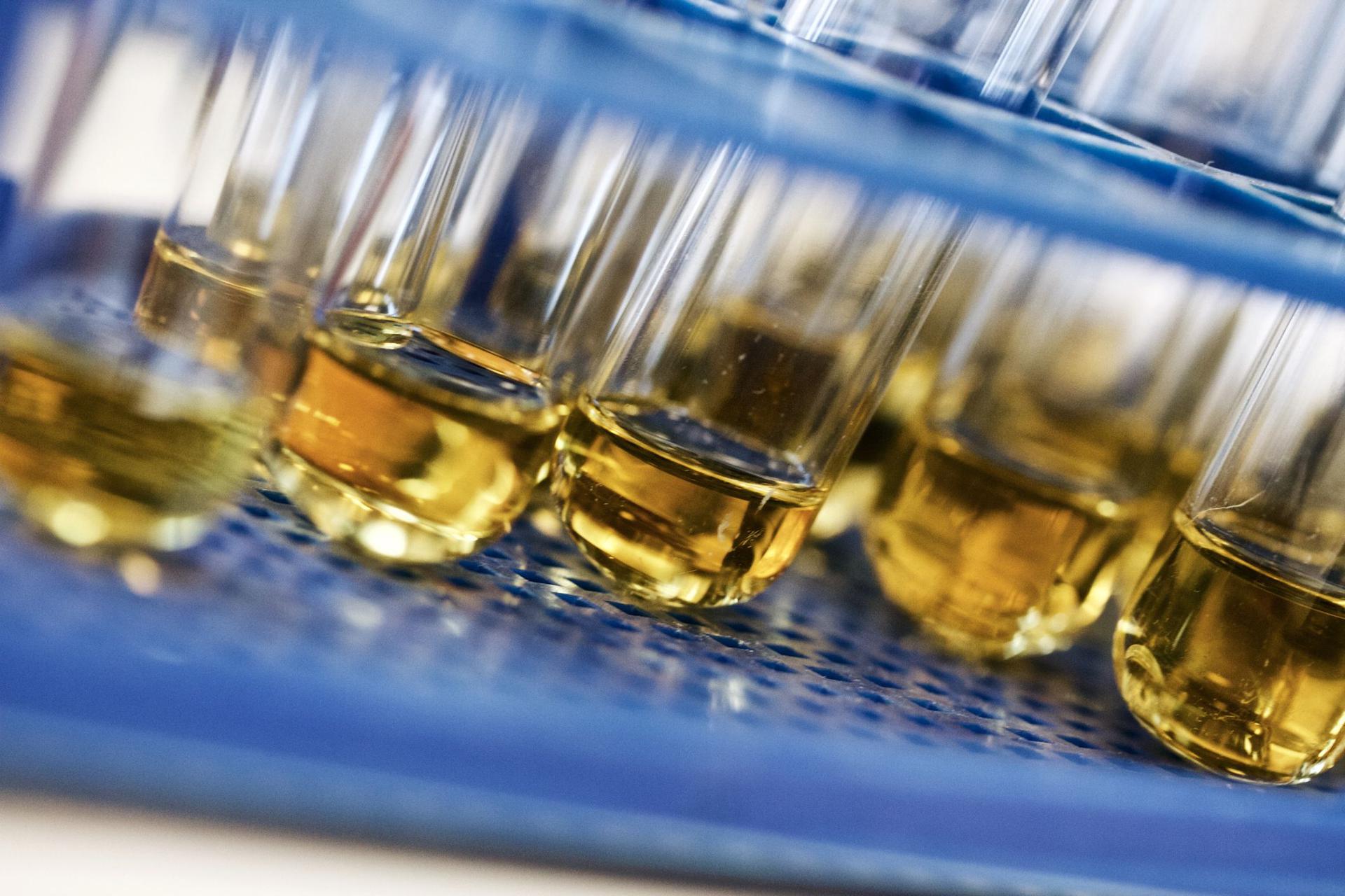 Azotyny w moczu: wynik dodatni - przyczyny - PoradnikZdrowie.pl