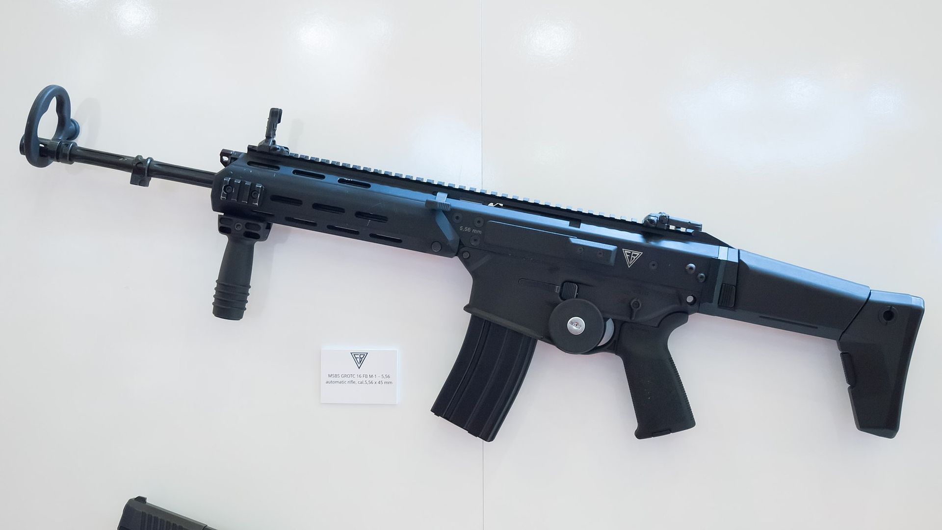 To broń całkowicie bezpieczna i niezawodna. Politycy ponownie bronią ...