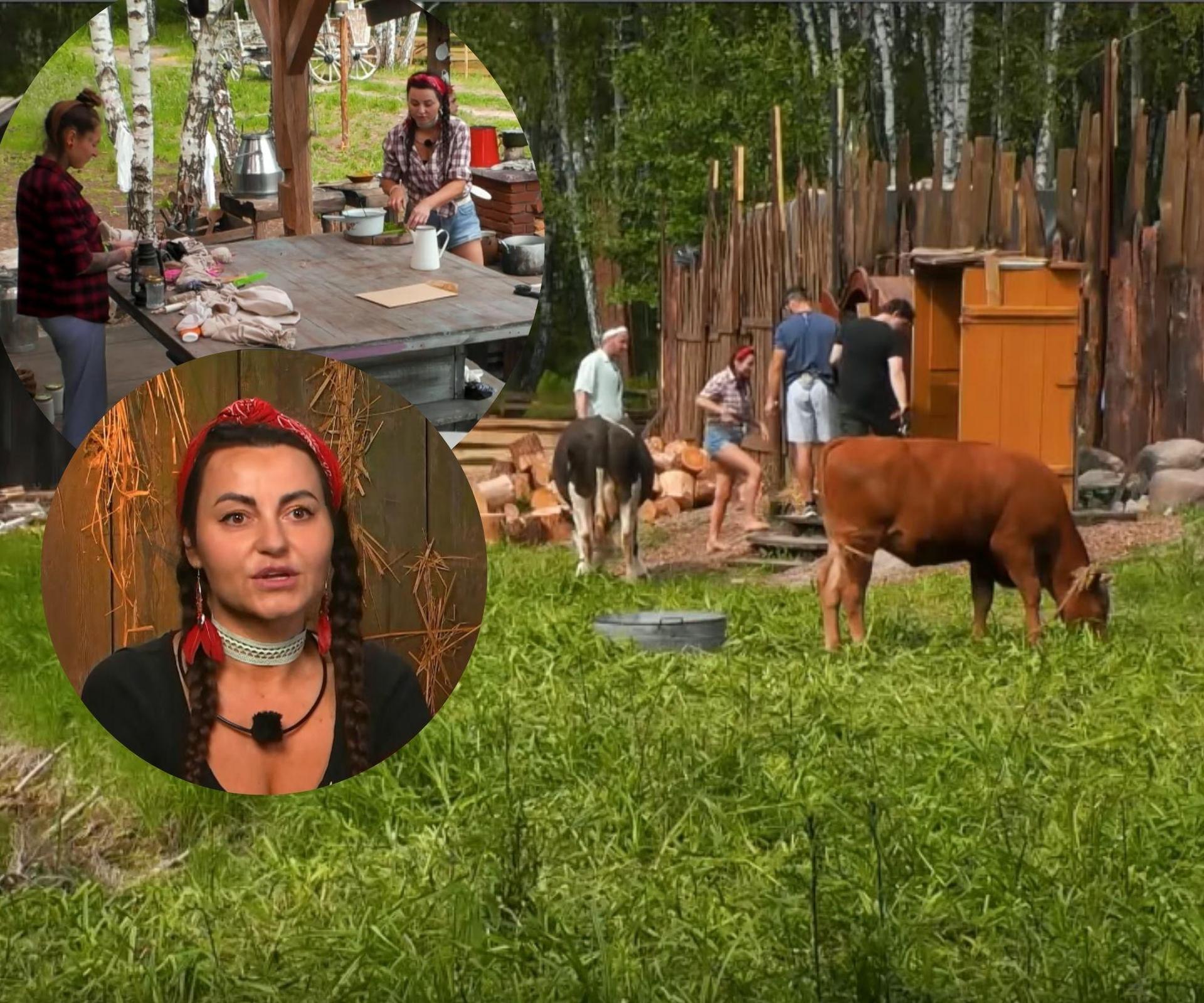 Farma 3: Wielka walka o farmę może podzielić uczestników. W tle kolejne ...