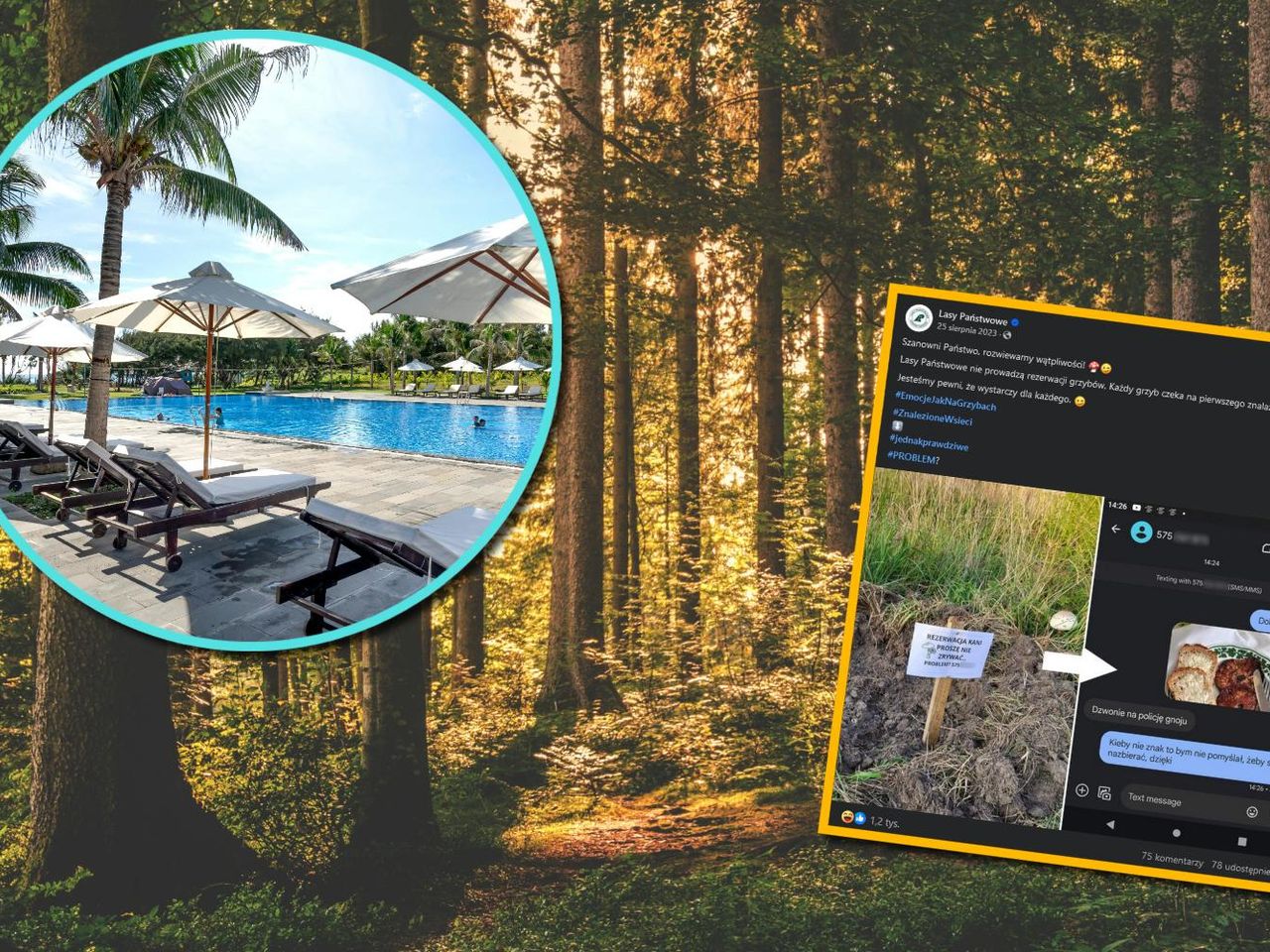 Trend z wczasów "all inclusive" przeniósł się do polskich lasów. O co chodzi z "rezerwacją ...