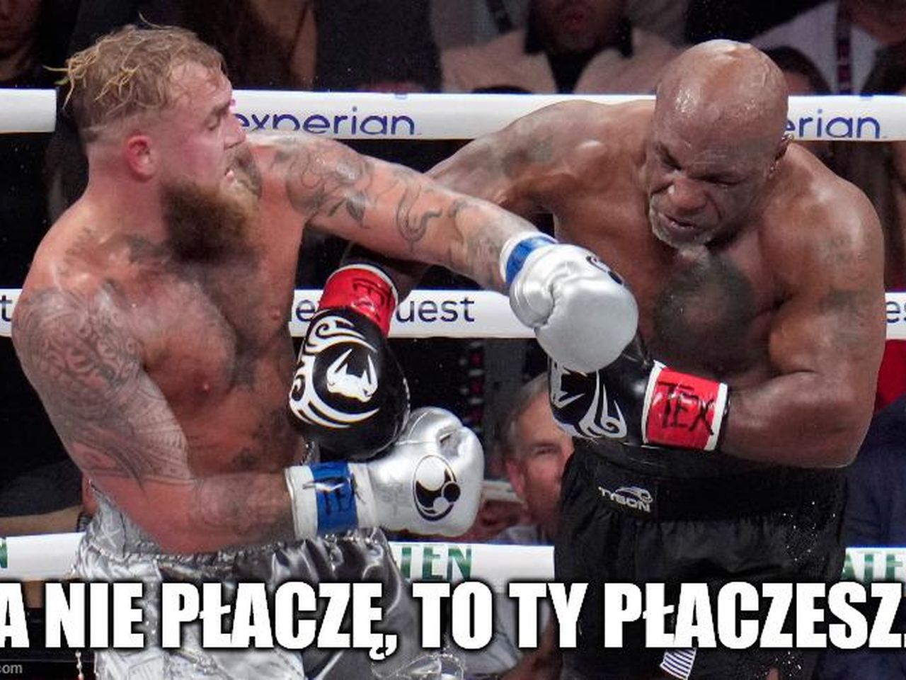 Mike Tyson vs Jake Paul: Memy po hitowej walce - Super Express ...