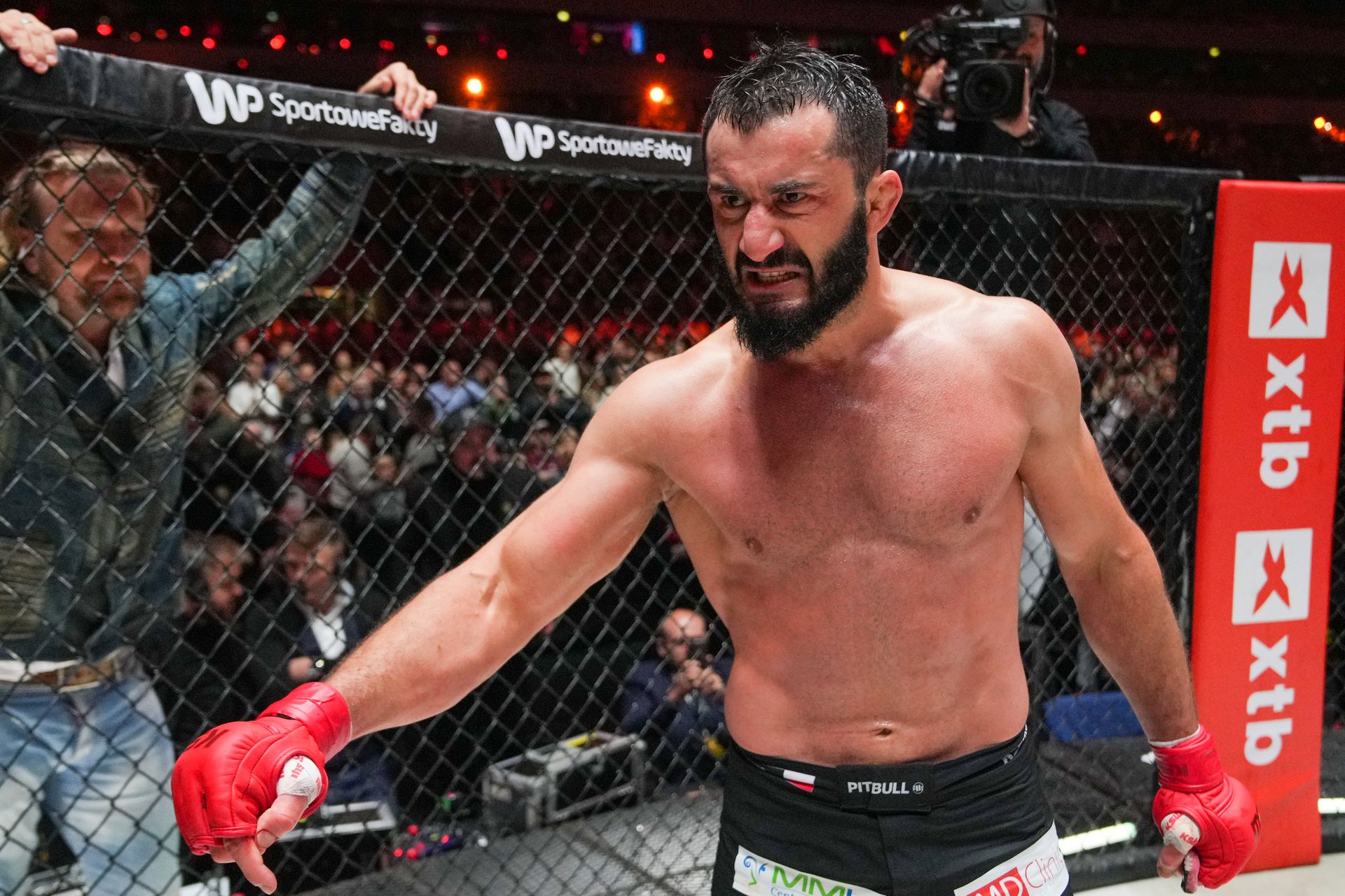 KSW podało te informacje o Mamedzie Khalidovie i się zaczęło! Prawdziwy ...