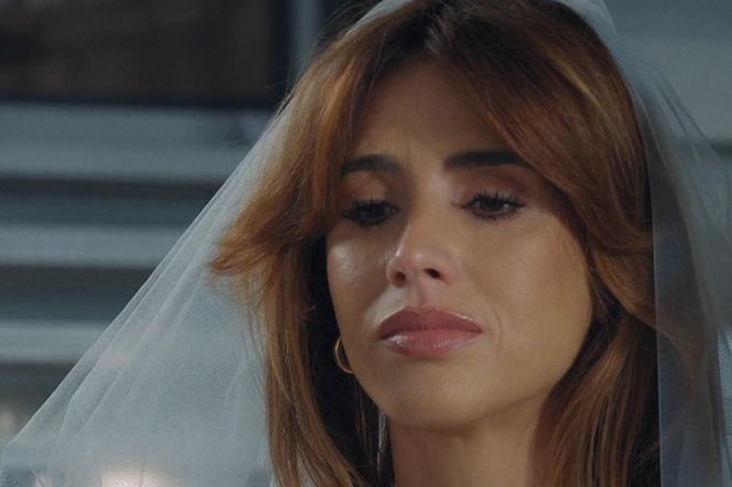 M jak miłość, odcinek 1878: Dorota i Bartek wyprowadzą się z Grabiny. To milionerka podejmie ...