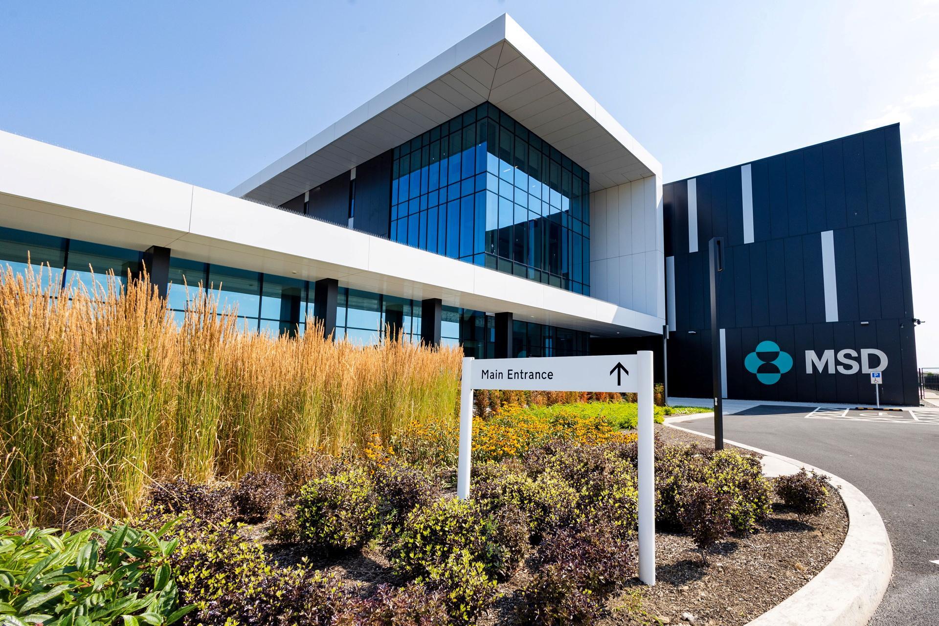 MSD chce zwiększyć eksport leków o 305 procent dzięki fabryce w ...