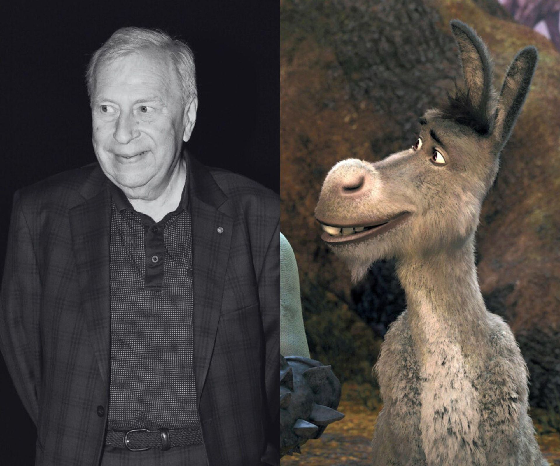 Osioł ze Shreka nie zawsze mówił głosem Jerzego Stuhra! Początkowo ...