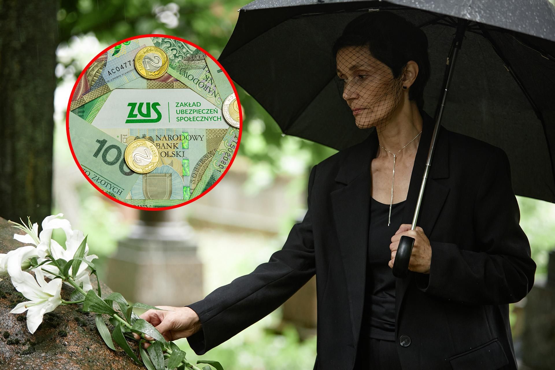 Renta wdowia w 2025 roku. Kto dostanie rentę wdowią? ZUS ujawnił szczegóły - Super Biznes