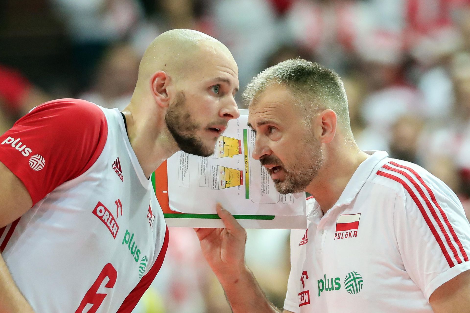 Grbić wystawi eksperymentalny skład? Rusza sezon 2025 siatkarzy, mogą ...