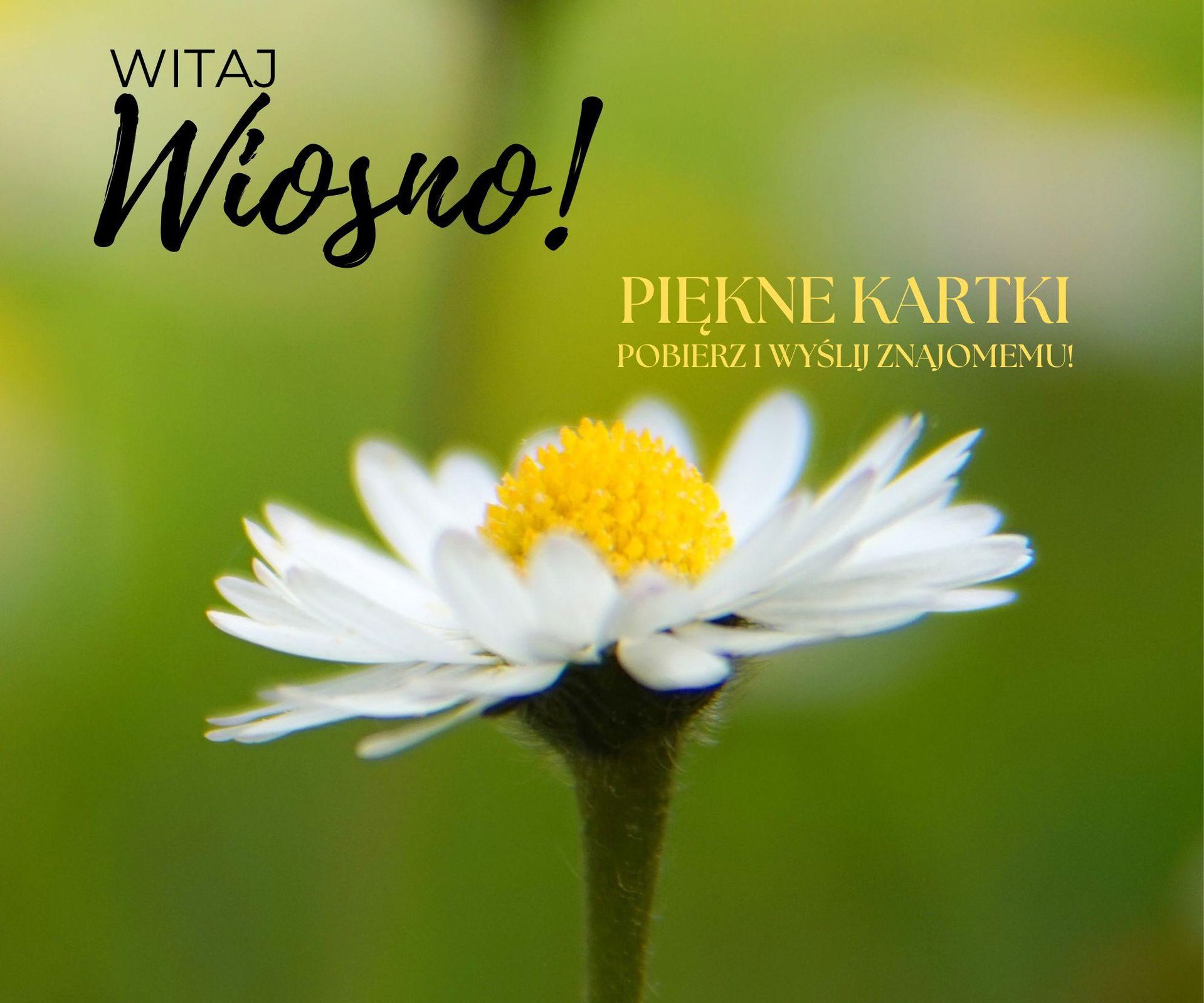 Witam w Pierwszy Dzień Wiosny - życzenia i wierszyki z okazji wiosny ...