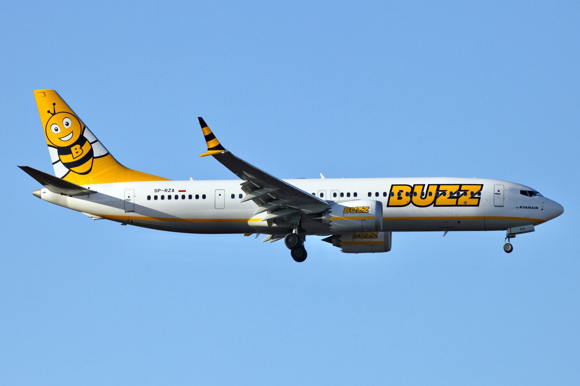 Linie lotnicze Buzz, należące do Ryanair, szukają pracowników w ...