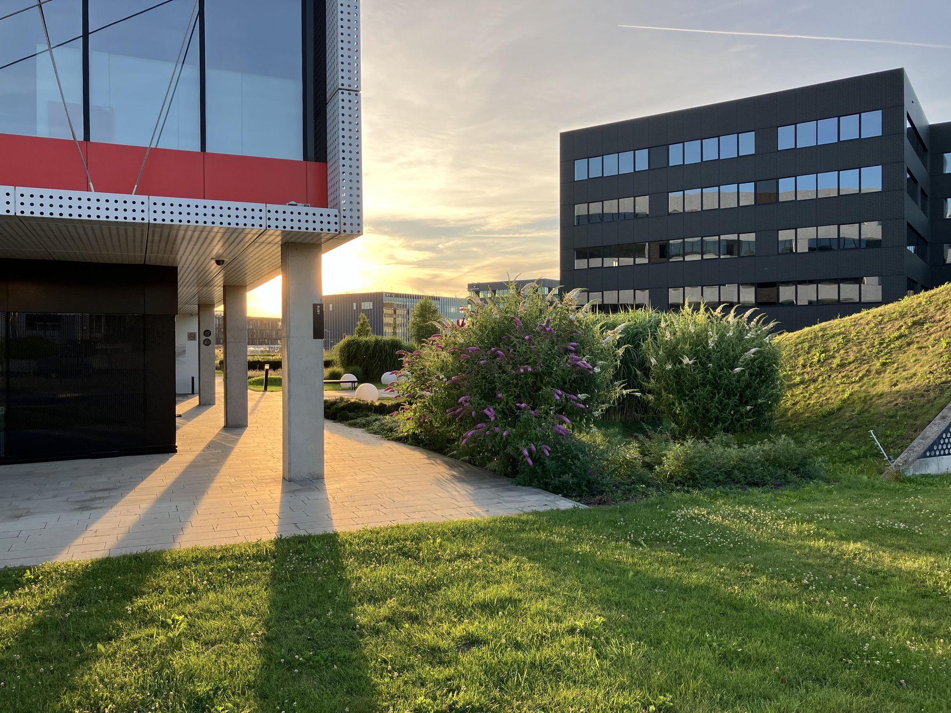 Kraków. Shell z umową najmu na kolejne 10 lat w DOT Park - muratorplus.pl