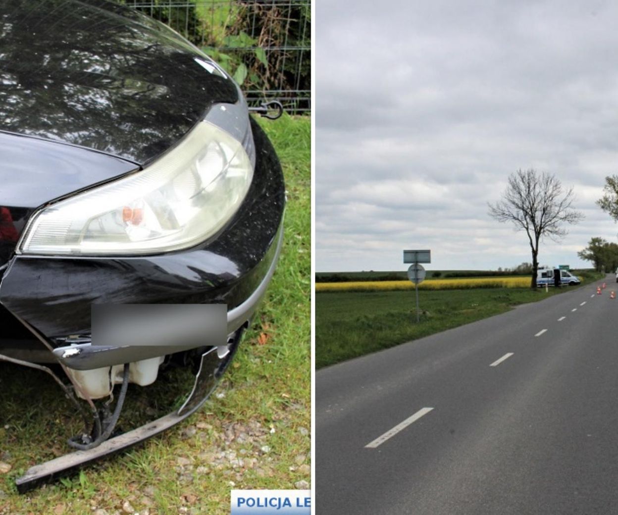 Rogoźnik pod Legnicą. Śmiertelnie potrącił 25-latka i uciekł. 27-latek był kompletnie pijany ...