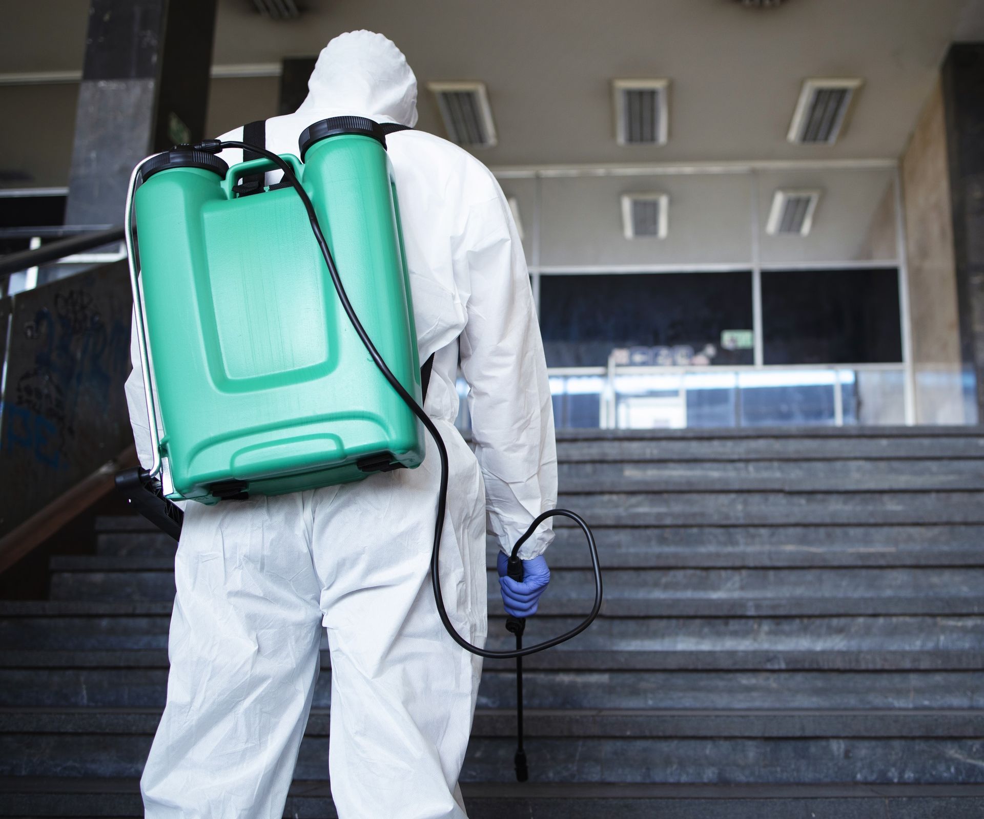 Ptasia grypa dotarła do Krakowa! Ognisko zakażeń wykryte na Podgórzu ...