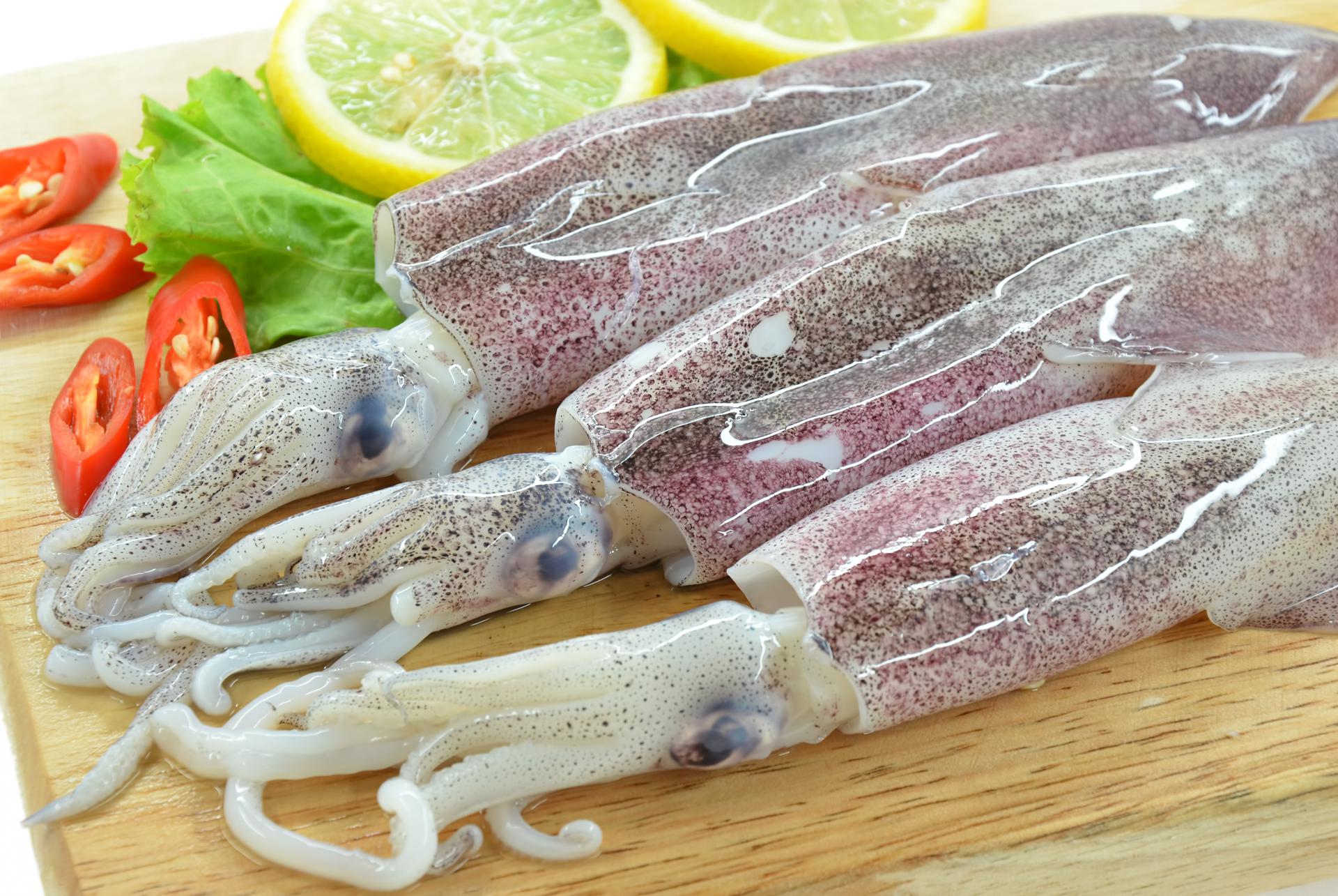 Kalmary - czy warto jeść? Jakie mają składniki odżywcze? - Beszamel.pl