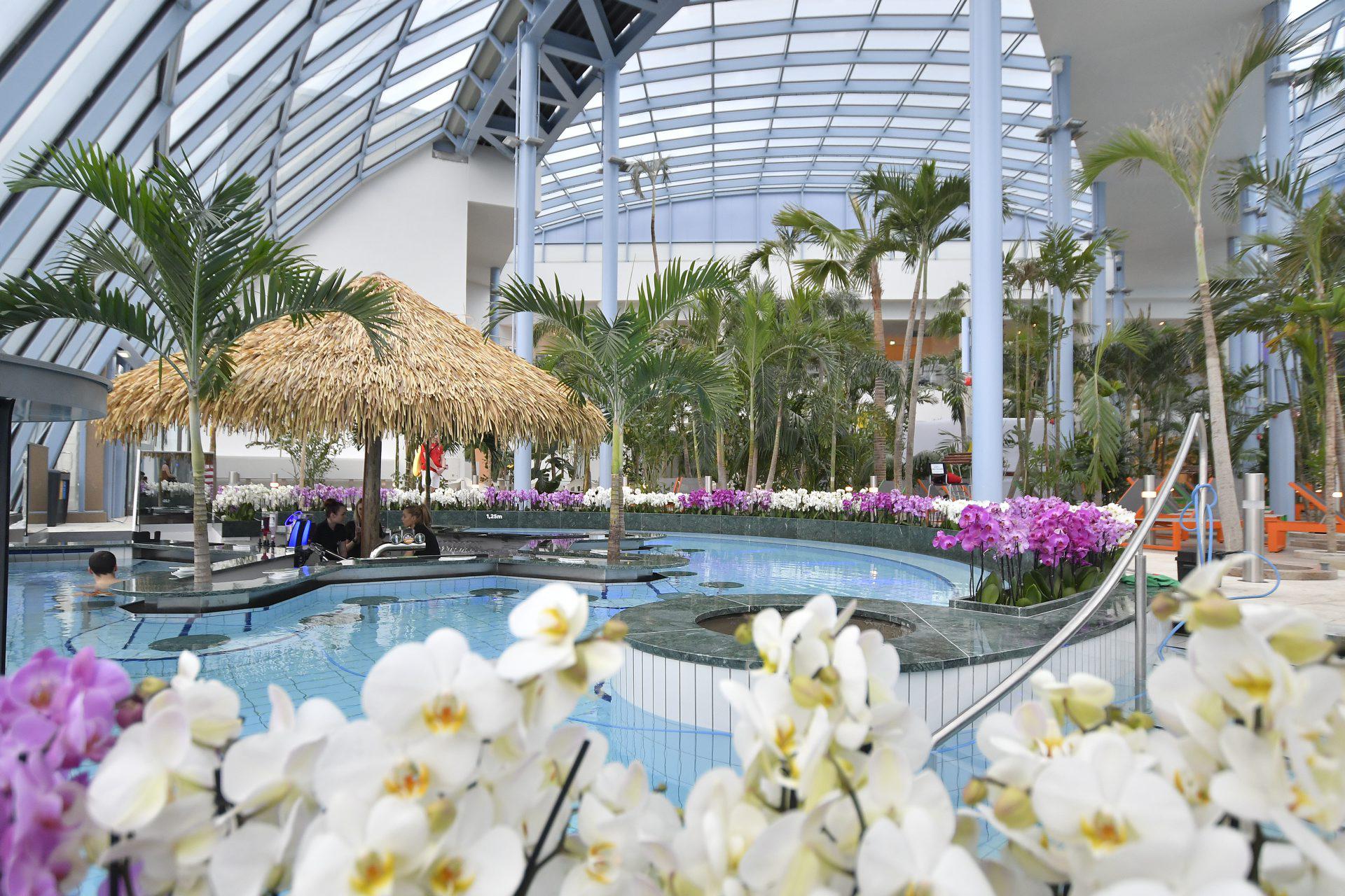 Suntago Park of Poland otwarty! Tu jest jak w RAJU! Ludzie tu OSZALEJĄ ...