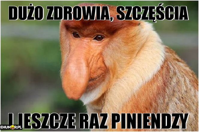 MEMY na urodziny! Zobacz najśmieszniejsze obrazki w internecie [GALERIA ...