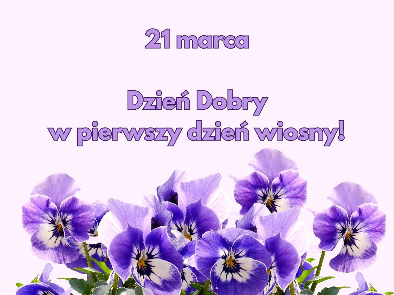 Kartki na dzień dobry w pierwszy dzień wiosny! Powitanie z miłym ...