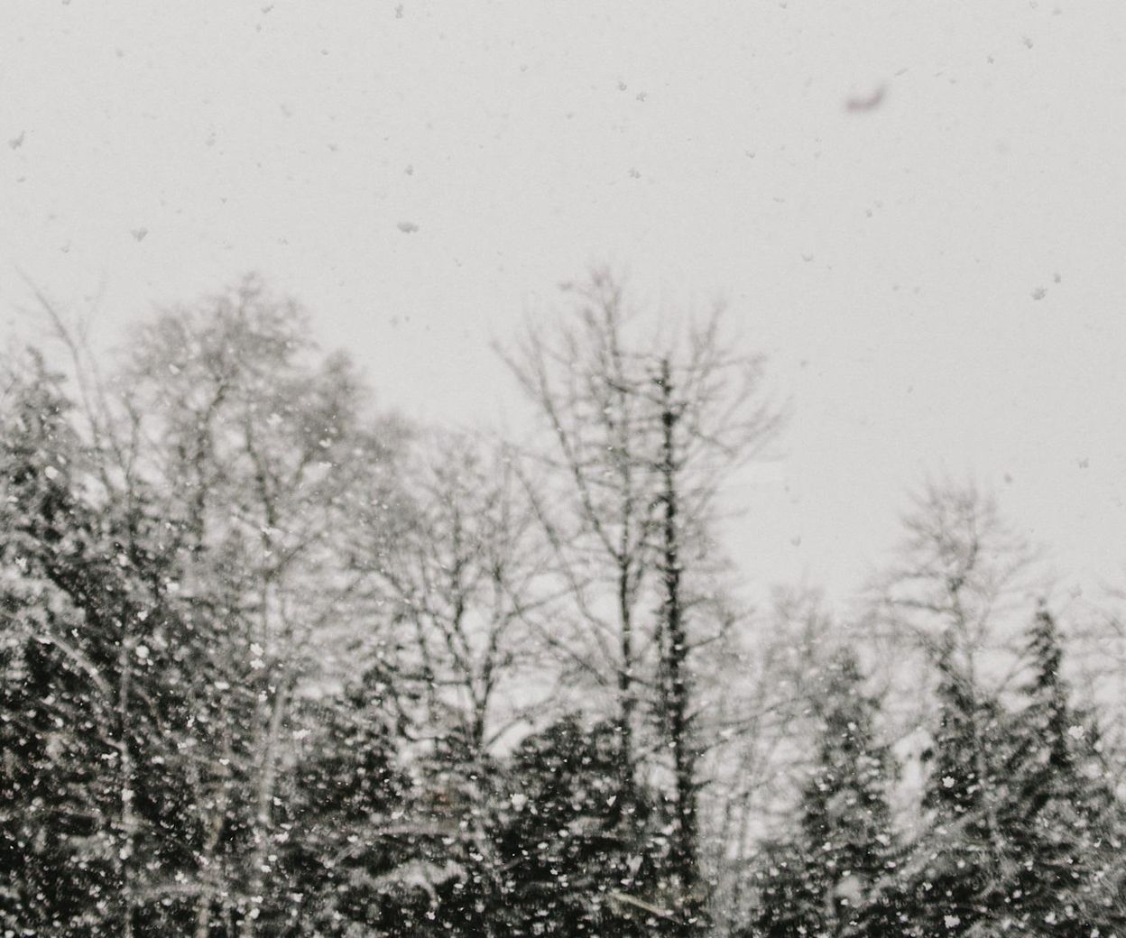 Opady i chłód to nie wszystko. Załamanie pogody jest już pewne [Prognoza IMGW na 19.02.2024 ...