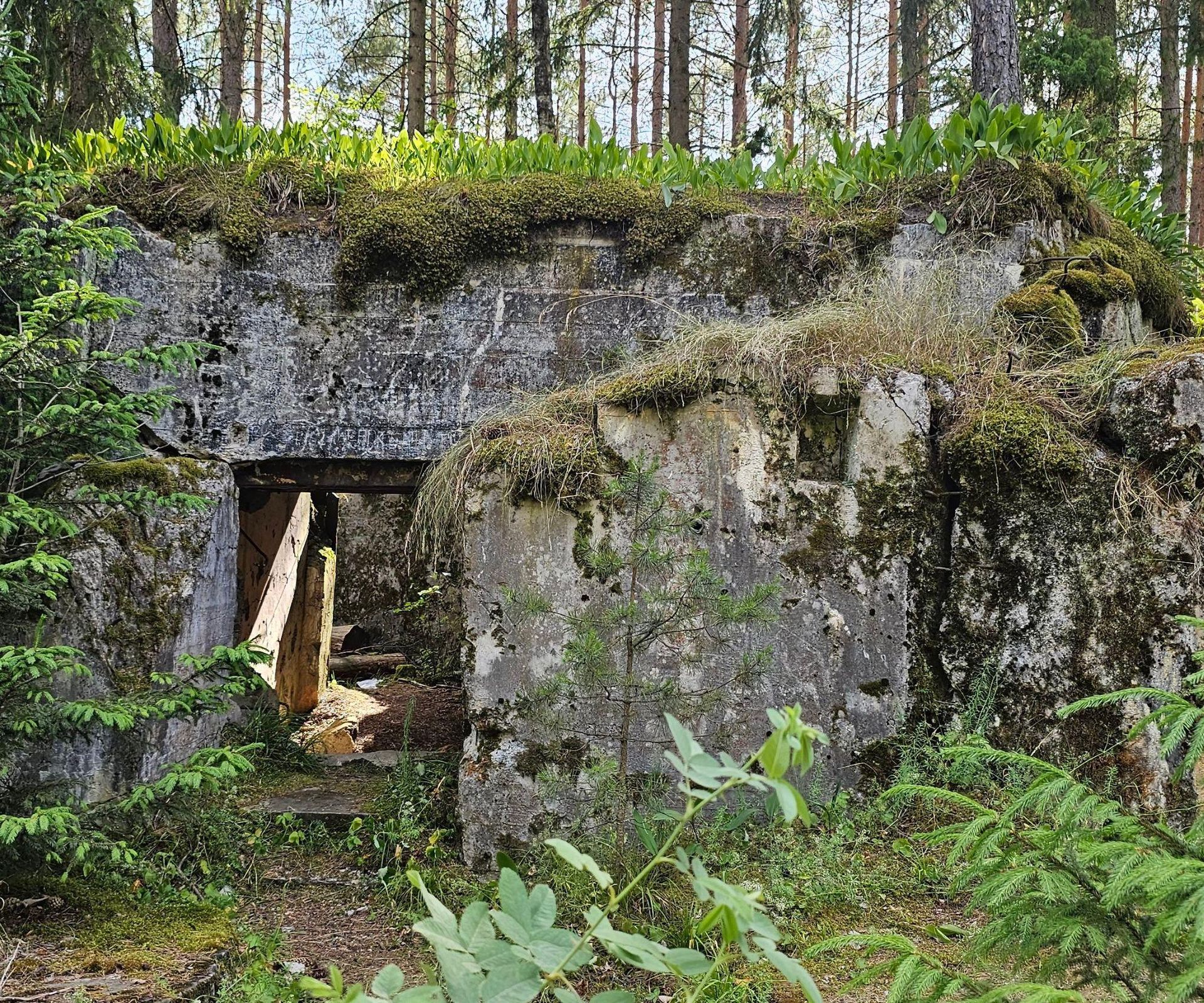 Bunkry w powiecie szczycieńskim. Jeden naszkicował sam Hitler [ZDJĘCIA ...