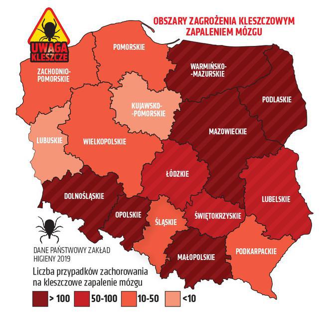 Inwazja Kleszczy Zobacz Na MAPIE Gdzie Jest Ich Najwi cej
